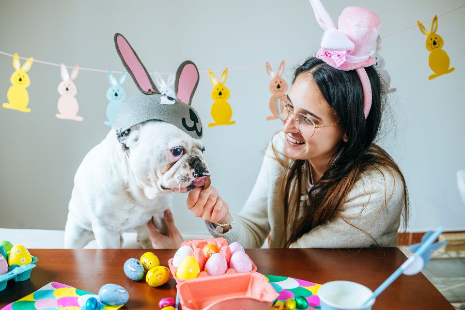 Páscoa em família: como incluir os pets na comemoração sem riscos ...