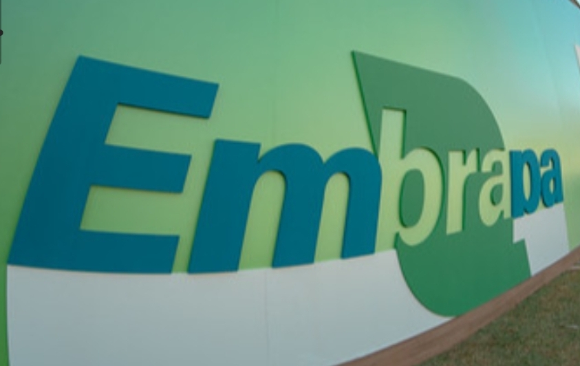 Conselho indicado por Bolsonaro trava nomes de Lula para a Embrapa ...