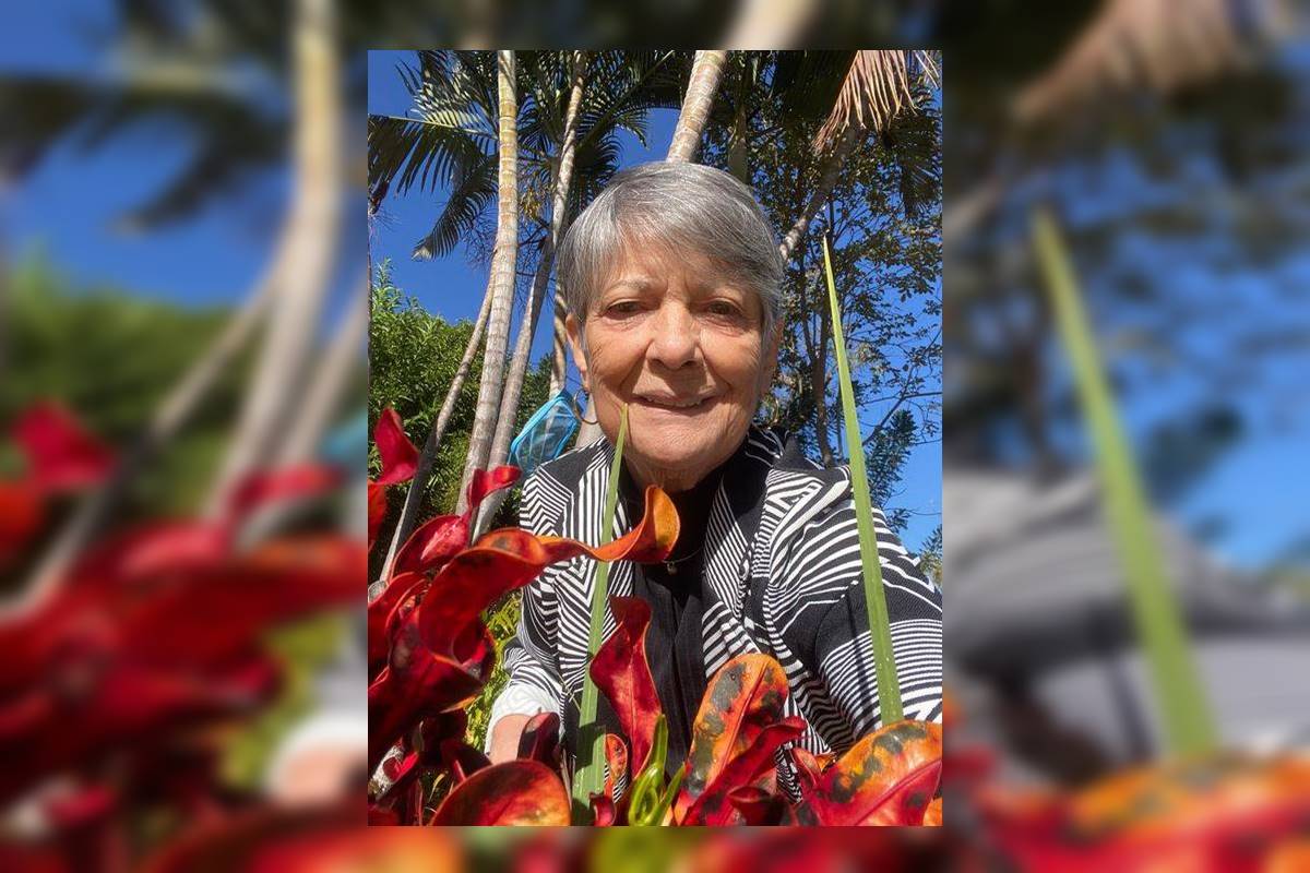 Jornalista Edilma Neiva Ibiapina morre de dengue, aos 77 anos, no DF ...